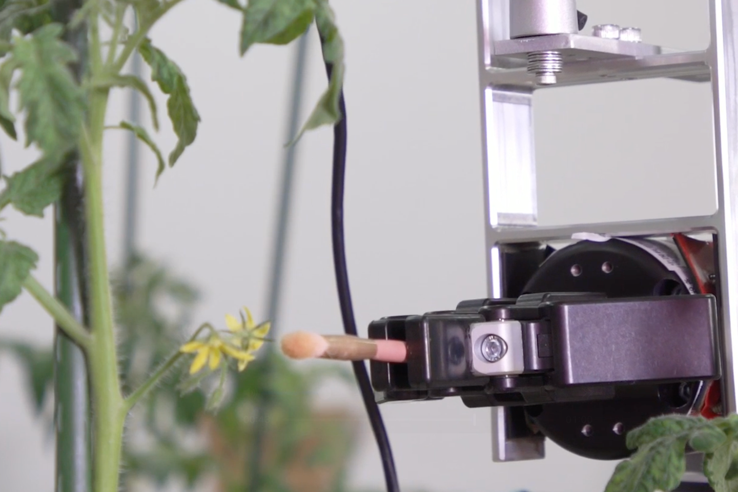 « L’industrie des OGM repose sur une économie singulière, celle de la ...